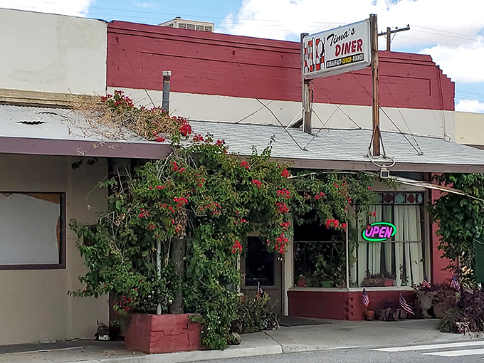 Bougainvillea blooms frame Tina's Diner like nature's own welcome sign, promising homestyle comfort behind that unassuming door.