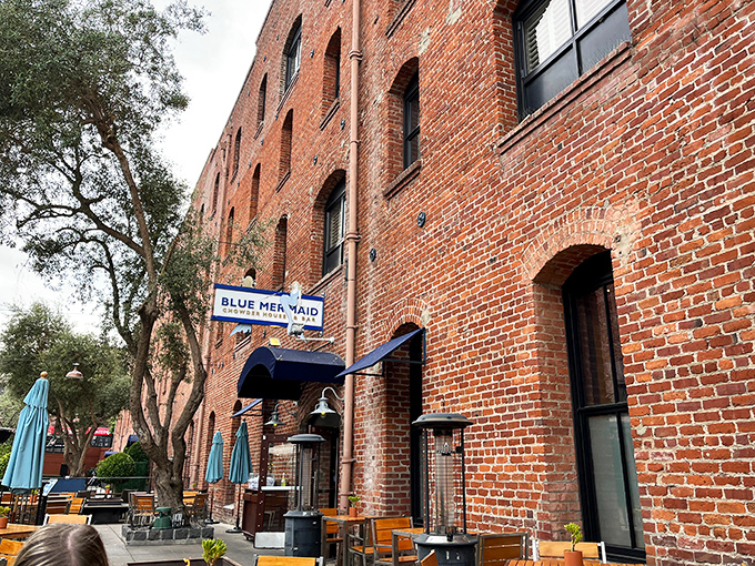 Nestled in a converted warehouse, Blue Mermaid's exterior blends seamlessly into San Francisco's historic waterfront, where brick buildings tell stories of the city's maritime past.
