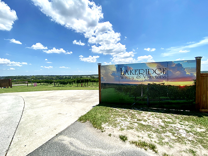 The entrance sign beckons with promise of liquid treasures, standing proudly against a perfect Florida sky that seems to have dressed up for the occasion.