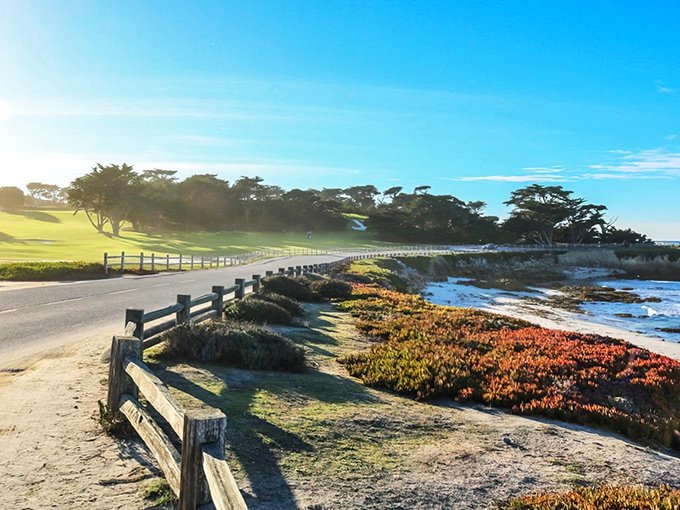 Where land meets sea in perfect harmony. The iconic coastline of 17-Mile Drive showcases California's natural splendor with every curve of shoreline.