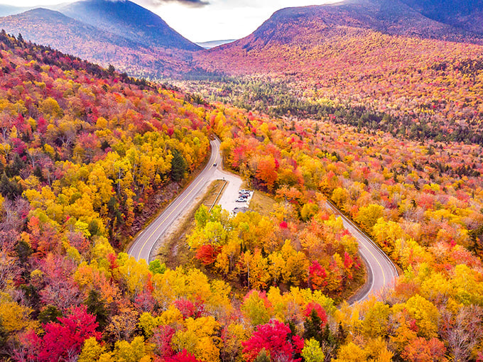 Nature's own color explosion! The Kancamagus Highway cuts through a kaleidoscope of autumn foliage that makes even the most jaded travelers pull over in awe.