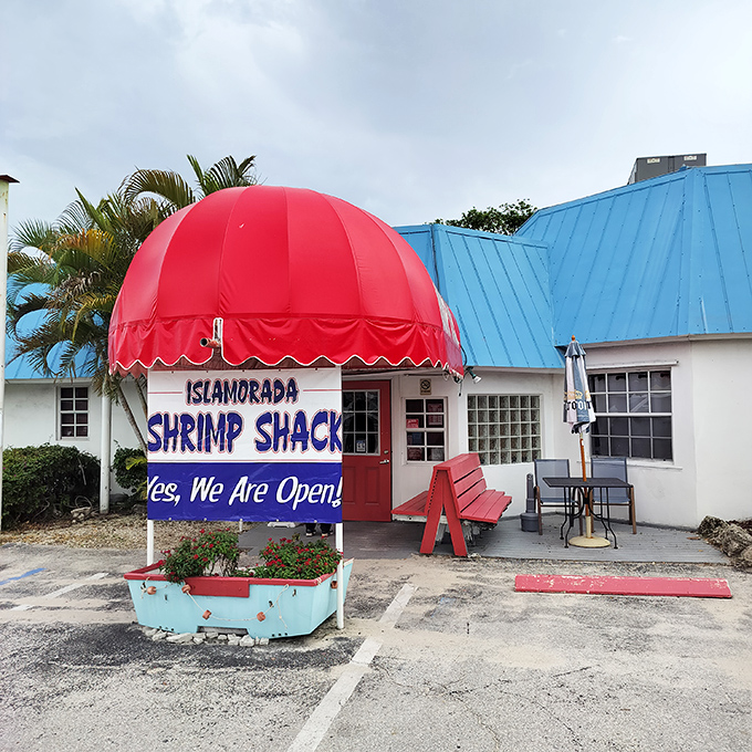 The iconic red awning of Islamorada Shrimp Shack beckons like a culinary lighthouse amid the palms. Florida Keys perfection doesn't need fancy packaging!
