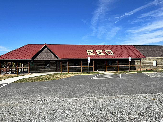Sometimes the best restaurants look like your cousin's garage got ambitious and opened for business.