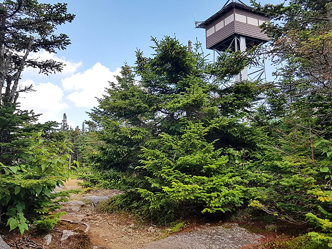 Hike the scenic trails at Mt. Blue State Park, where lush fir trees lead the way to the historic fire tower.
