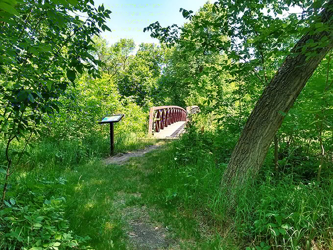 A wooden footbridge beckons through the lush greenery, promising adventure just beyond the bend. Nature's version of "follow the yellow brick road."
