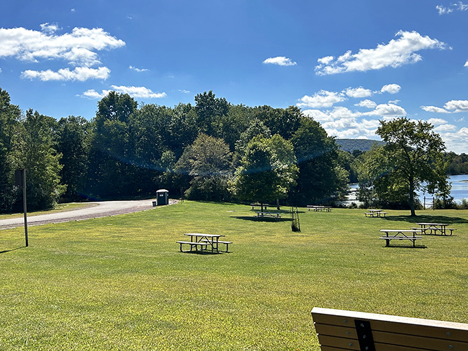 Spacious picnic grounds with scattered tables invite lazy afternoon lunches. Mother Nature's dining room comes with a view that beats any 5-star restaurant.