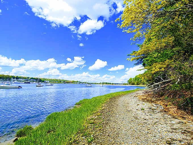 Where water meets woodland: Greenwich Bay's sparkling blue waters create the perfect backdrop for a leisurely stroll along Goddard Park's scenic shoreline path.