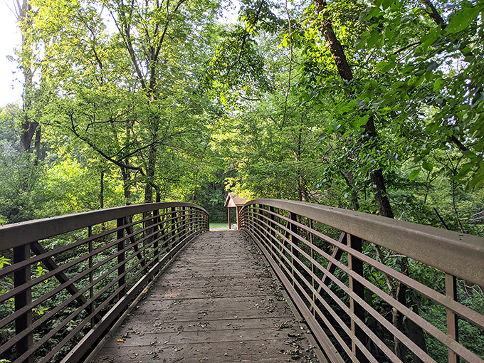Those towering trees create a cathedral of green that'll make you forget you're still in South Dakota.