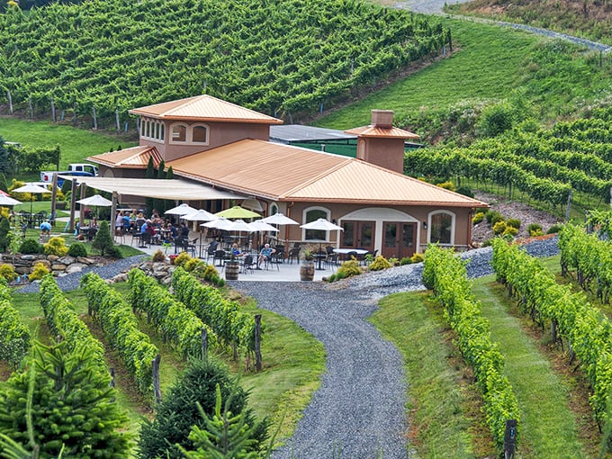 Vineyard paradise meets mountain magic at Linville Falls Winery, where rows of vines cascade down hillsides like nature's own terraced garden.