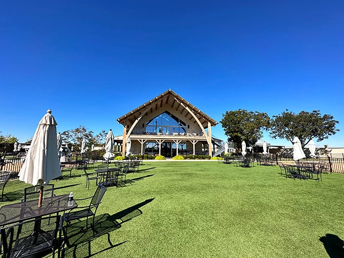 Augusta Vin's stunning timber-frame pavilion stands like a cathedral to wine against that impossibly blue Texas sky. Napa who?