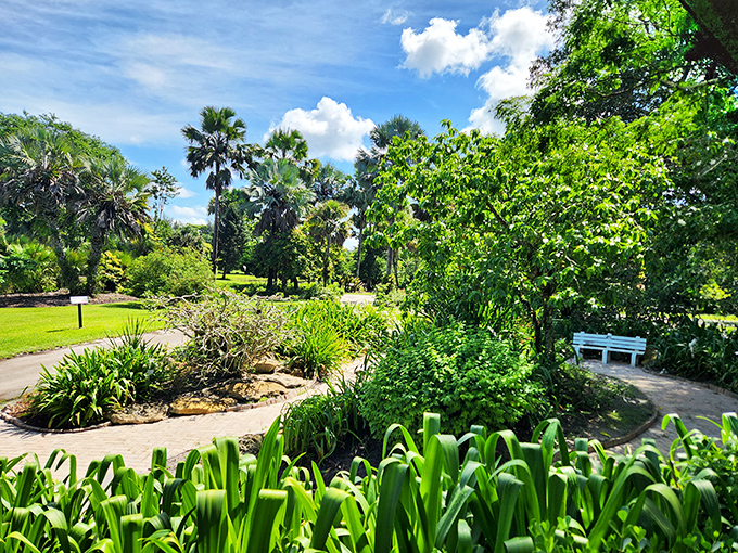 Paradise found! Winding paths lead through lush tropical foliage where every turn reveals another postcard-worthy vista. Mother Nature showing off her best work.