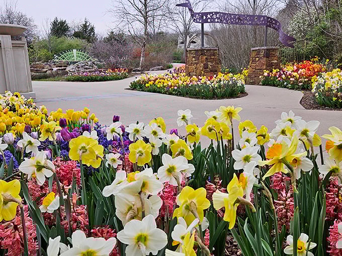 Spring explodes in technicolor glory at the entrance gardens, where daffodils and tulips create nature's version of a standing ovation.