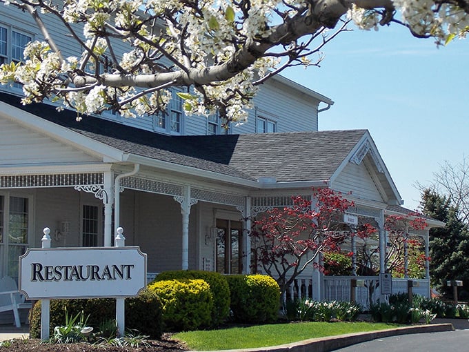 The Amish Door Restaurant stands ready to transform your understanding of what a side dish can accomplish in life.