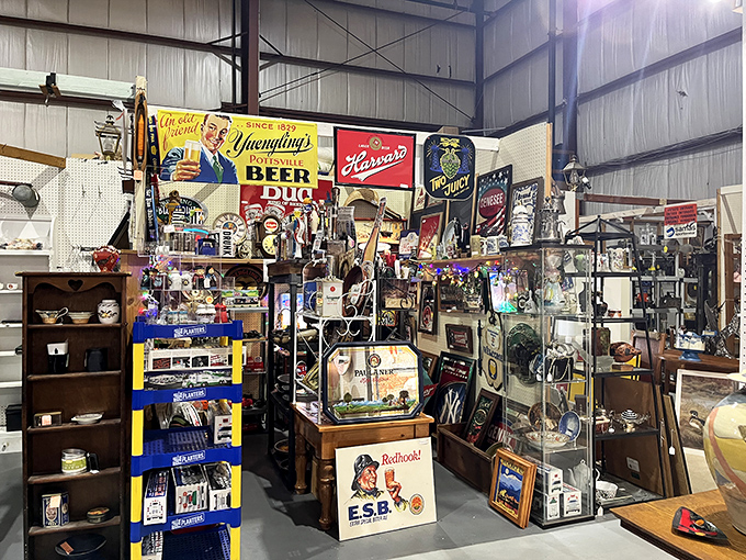 Vintage beer signs and collectibles create a nostalgic paradise. Who knew Yuengling had such colorful advertising back in the day?