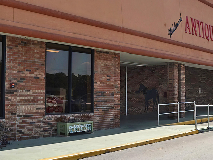 The unassuming entrance belies the wonderland within &ndash; like finding Narnia in a strip mall, complete with that iconic horse silhouette beckoning treasure hunters.