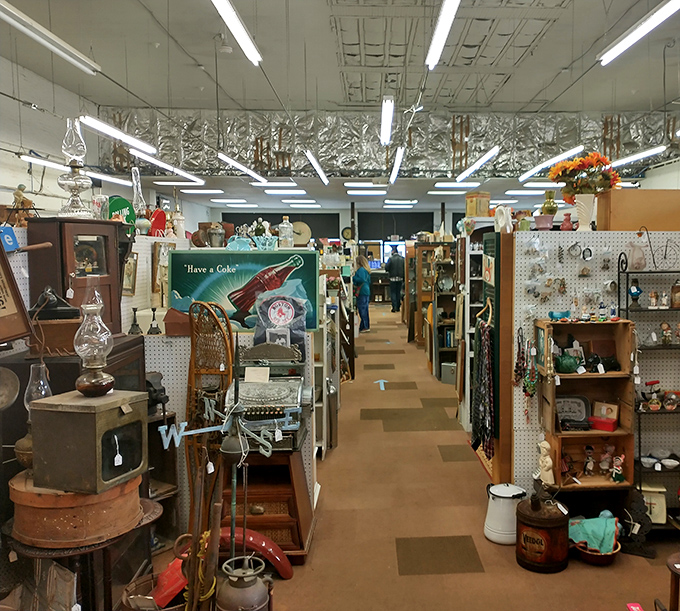 Treasure hunters, prepare yourselves! Antiques on Elm's aisles stretch into infinity, each one promising discoveries that'll make your collector friends green with envy.