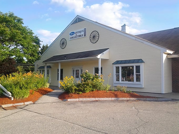 The unassuming exterior hides a treasure trove that would make Indiana Jones trade his whip for a shopping cart.