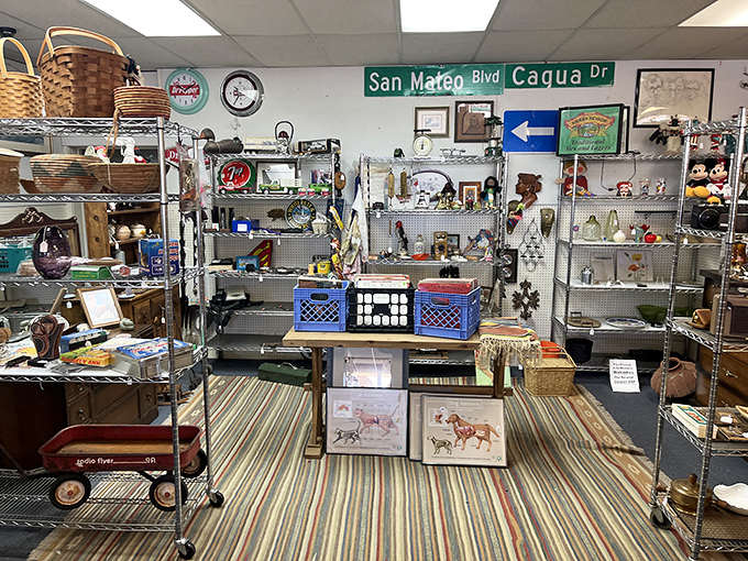 Every aisle tells a story at Past Present & In Between, where that little red wagon might just be your best friend for hauling treasures.