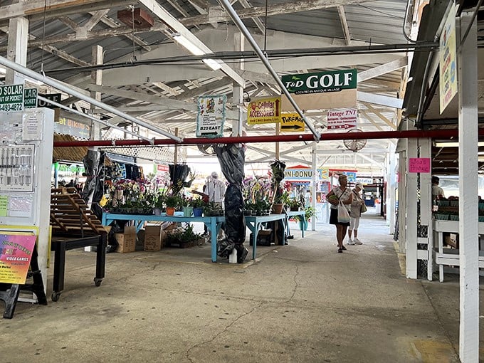 Inside the market, life blooms both literally and figuratively. Plant vendors create green oases amid the treasure-hunting hustle, proving retail therapy sometimes comes with roots.