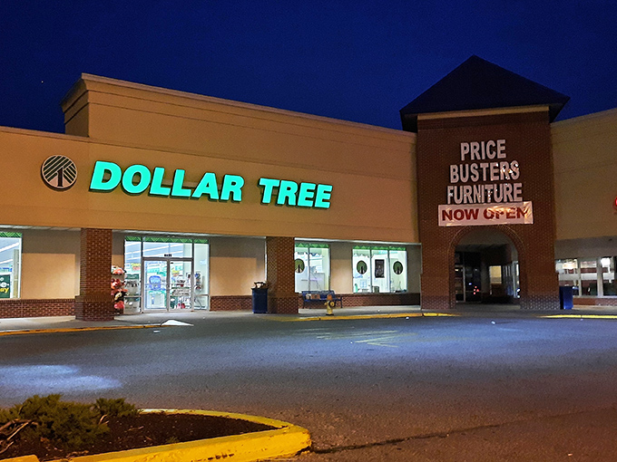 The iconic turquoise glow of Dollar Tree beckons bargain hunters like a thrifty lighthouse on Kirkwood Highway's retail sea.