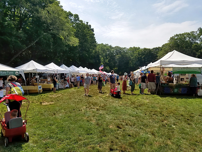 White tents stretch across the historic grounds like a village of culinary treasures, where every aisle promises a new Connecticut-grown discovery.