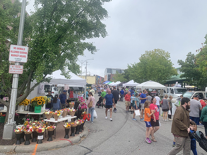The covered pavilion at Overland Park Farmers' Market buzzes with weekend energy, a cathedral of fresh food where shopping carts replace pews and produce is the sermon.