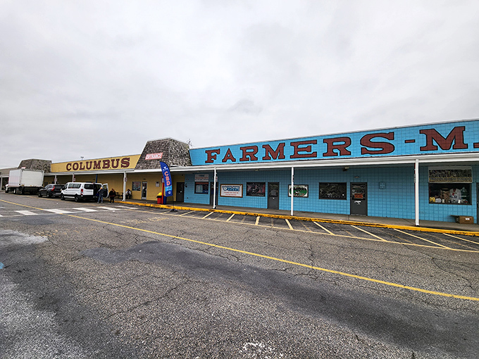 The covered outdoor market stretches seemingly to infinity, a bargain hunter's yellow brick road where treasures await at every turn.