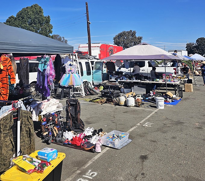 Welcome to bargain paradise! Under the California sun, vendors display their treasures while shoppers embark on the ultimate treasure hunt.