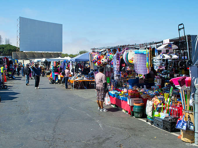 The white drive-in screen stands sentinel over a colorful maze of bargains. Weekend treasure hunters navigate this asphalt wonderland like modern-day pirates.