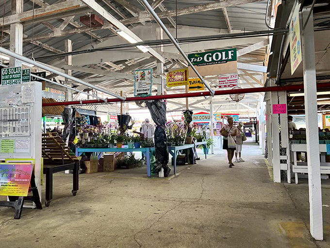 Wide aisles and endless possibilities await as shoppers navigate the indoor wonderland of Oldsmar Flea Market's treasure-filled corridors.
