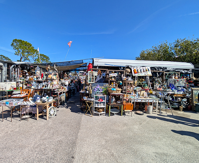 Treasure hunter's paradise under the Florida sun. Tables overflow with vintage finds and curious oddities waiting for their forever homes.