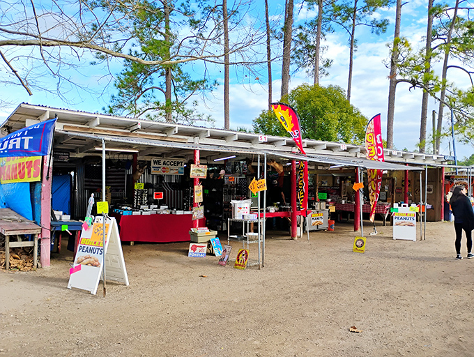 Welcome to treasure-hunting headquarters! Colorful flags and handwritten signs beckon shoppers into this no-frills wonderland of potential discoveries.