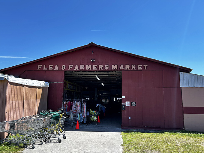 The iconic red barn entrance to Pecan Park Flea & Farmers' Market beckons treasure hunters with the promise of undiscovered gems waiting just inside.