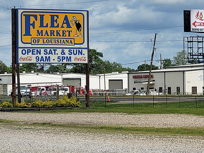 The iconic blue and yellow sign welcomes bargain hunters to this weekend wonderland. No membership card required&mdash;just bring your curiosity and comfortable shoes!