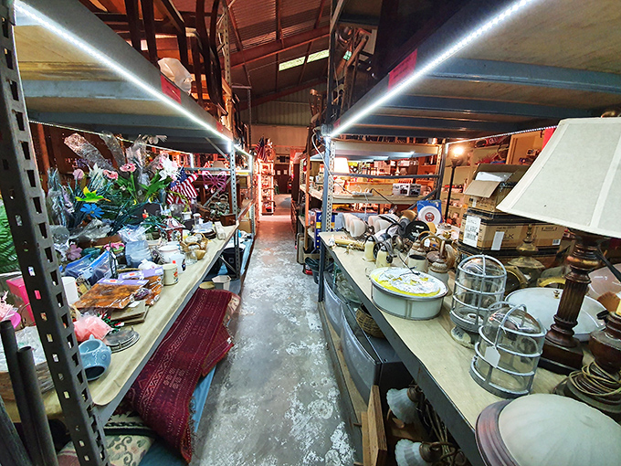 Wide aisles lined with household treasures create a shopping experience where getting lost is half the adventure and joy.