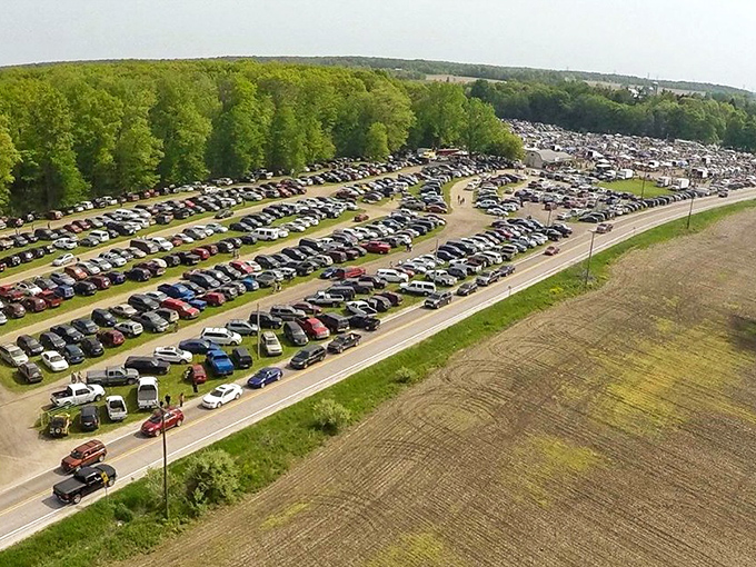 The aerial view of Armada Flea Market's parking lot looks like Michigan's version of Woodstock—but instead of music, people are gathering for the thrill of the find.