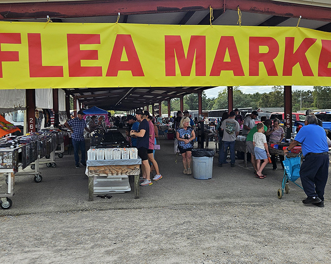 The bright yellow "FLEA MARKET" banner welcomes treasure hunters like a carnival barker promising wonders within. Bargain paradise awaits!
