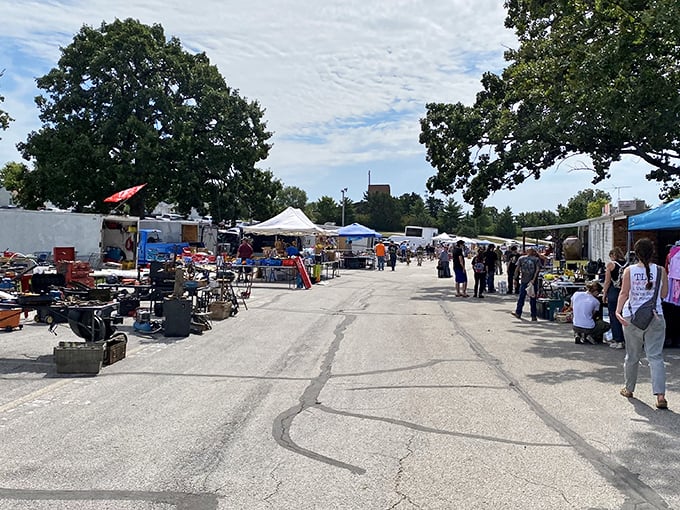 The treasure hunt begins! Rows of vendor tents stretch into the distance at Wentzville Flea Market, each promising undiscovered gems.