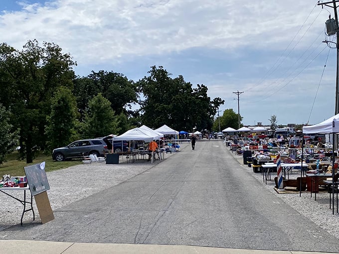 The treasure hunt begins! Rows of vendor tents stretch into the distance at Wentzville Flea Market, each promising undiscovered gems.