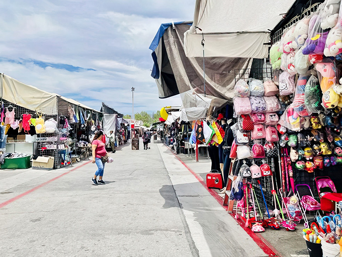 Those endless aisles stretch farther than your weekend to-do list, packed with treasures waiting to be discovered.