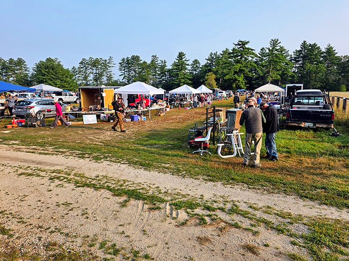 The bargain bazaar stretches toward the horizon like a retail mirage, except these deals are delightfully real and waiting for your haggling skills.