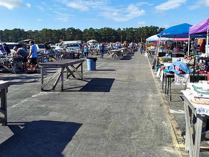 The outdoor marketplace at Newport Flea Mall buzzes with weekend treasure hunters scanning tables for that perfect find nobody else spotted yet.