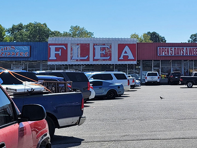 The iconic "FLEA" sign beckons treasure hunters from miles around, promising adventures that can't be found on any smartphone screen.