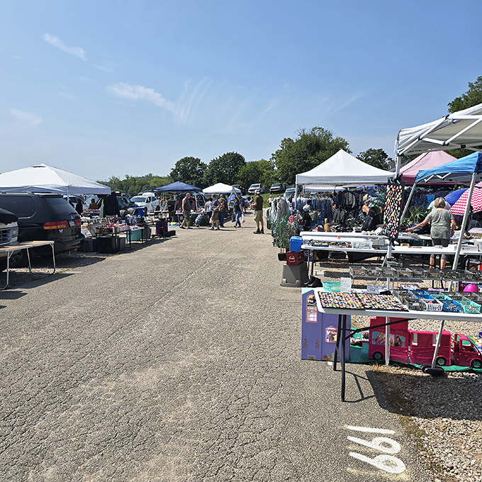 Under the summer sky, pop-up tents create an impromptu village of possibilities. Every table holds someone's future conversation piece.