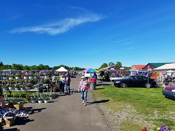 A perfect blue-sky day at Rice's Market, where treasure hunters navigate rows of vendors offering everything from garden plants to vintage collectibles.