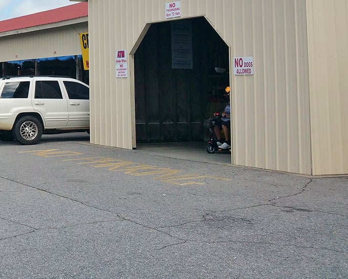 "No Dogs Allowed" signs greet visitors, ensuring the only barking you'll hear is over haggling prices.