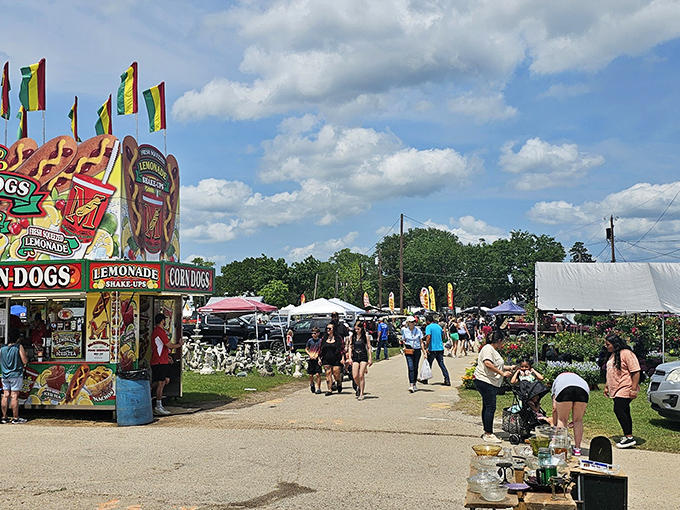 Food stands burst with color and temptation under perfect Texas skies, promising corn dogs and shake-ups that make diet plans vanish faster than your spending money.