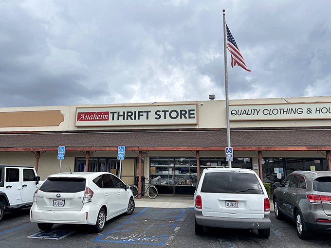The unassuming storefront promises treasure within, like finding out your plain neighbor secretly collects vintage motorcycles and makes award-winning jam.