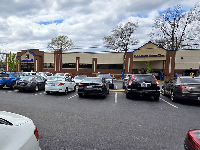 The parking lot tells the story—locals know where the deals are hiding. Tuesday mornings here are like Black Friday without the trampling.