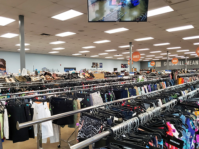 When a thrift store parking lot looks this inviting, you know serious bargain hunting awaits inside those doors.